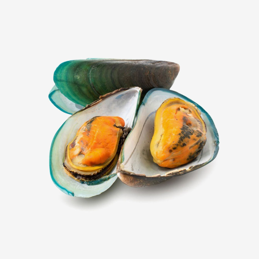 Giant Mussel
